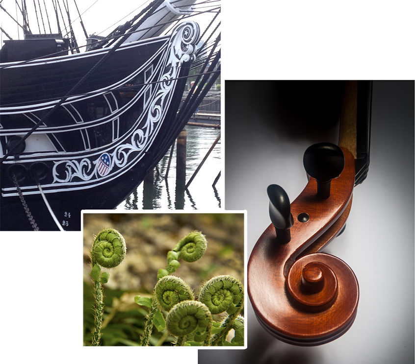 Fiddlehead Ring - Sterling Silver - Cross Jewelers