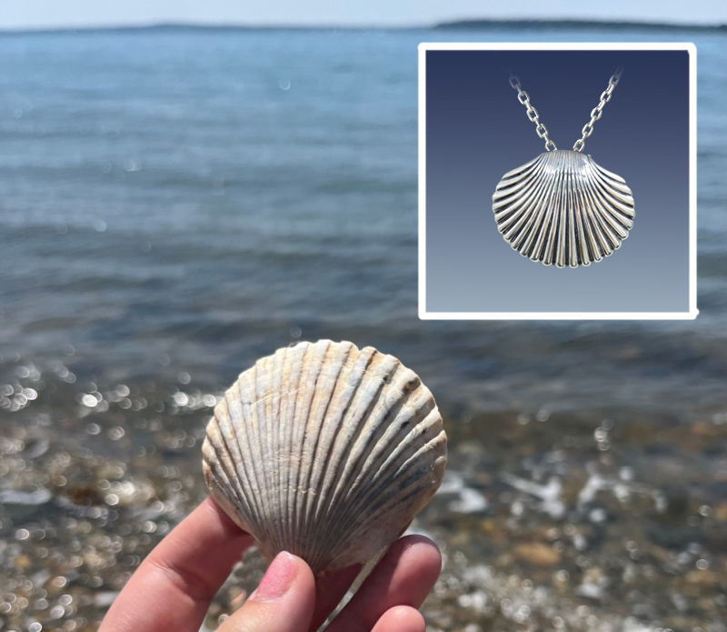 World's Most Beautiful Scallop Shell Necklace - Silver - Cross Jewelers
